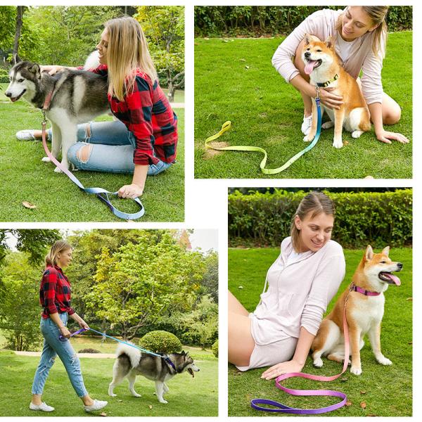 Quality Dog Collar Luxury Gradient Adjustable Reversible Solid Custom Logo Designer for sale