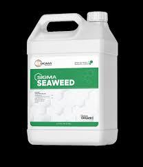 Quality Seaweed Extract 400g/L Total Nitrogen ≥1% for Environmentally-Friendly for sale