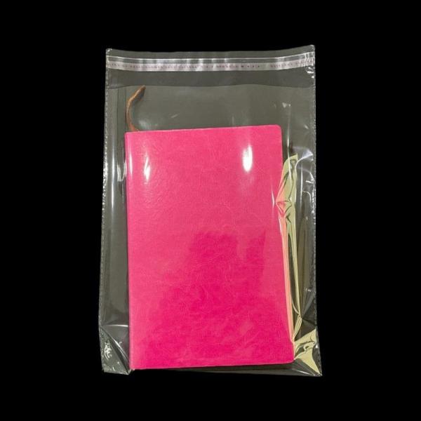 Quality Recycled Self Sealing Plastic Bags For Environmentally Friendly Packaging for sale