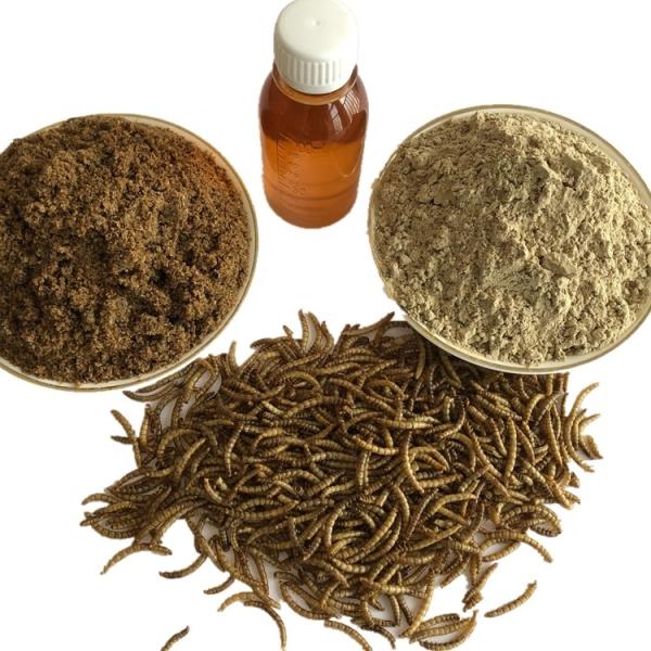 Quality Fish Chicken Mealworm Powder Light Brown 8.35 KG / Bag for sale