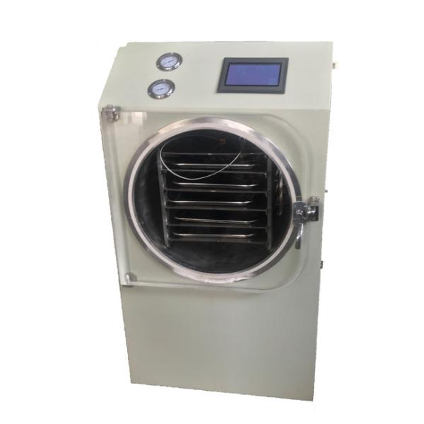 Quality Light Weight Kitchen Freeze Dryer Small Running Current Low Energy Consumption for sale