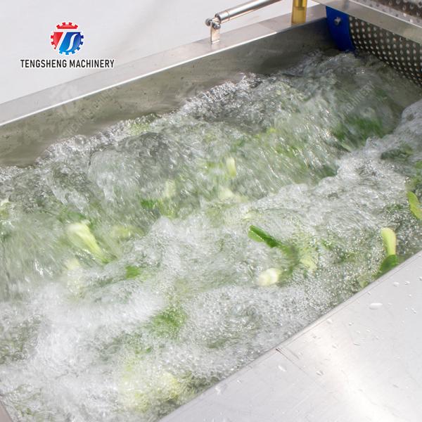 Quality Bubble washing vibration air drying production line Orange Vegetable Herbs Fruit for sale