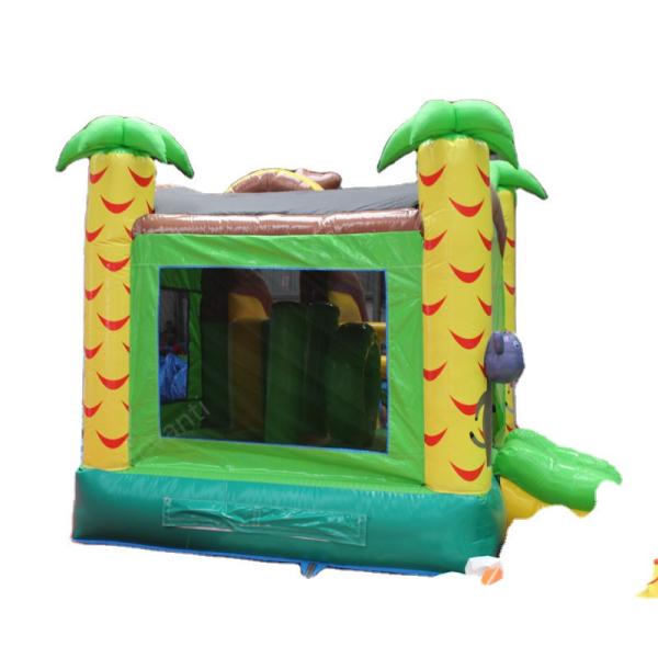 Quality 5-7 Years Age Range Inflatable Bouncy Castle Combo with Customized Color Outdoor Fun for sale