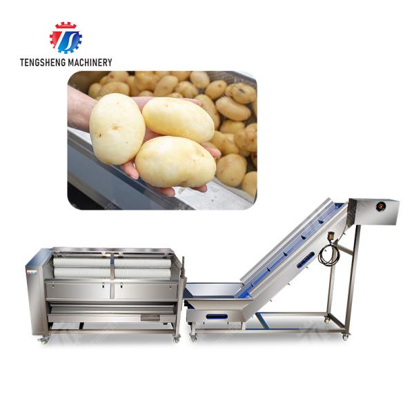 Quality Brush washing and hoisting production line Ginger Potato Carrot Taro Sweet for sale