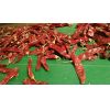 china Dehydrate Sweet Paprika Pepper Non Irradiated Dried Red Chili Pods 140 Atsa