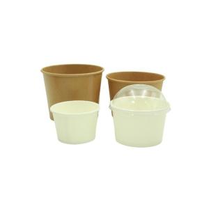 Quality White Ice Cream Paper Cup OEM Leak Resistant 6oz 8oz 10oz With Lid for sale