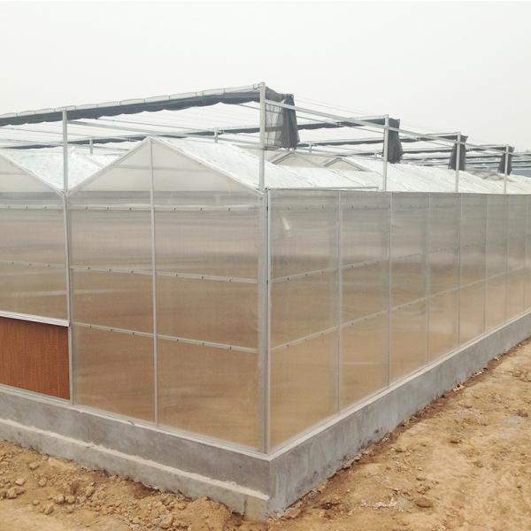 Quality Hydroponic System for Aquaponics in Multi-Span Agricultural Greenhouse for sale
