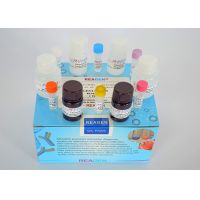 Quality Accurate Veterinary Residue Test Kit Lincomycin ELISA Test Kit Certificate for sale