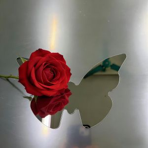 Quality Custom Laser Cut PS Two-Way Mirror Butterfly – Light Transmitting & Customizable for sale