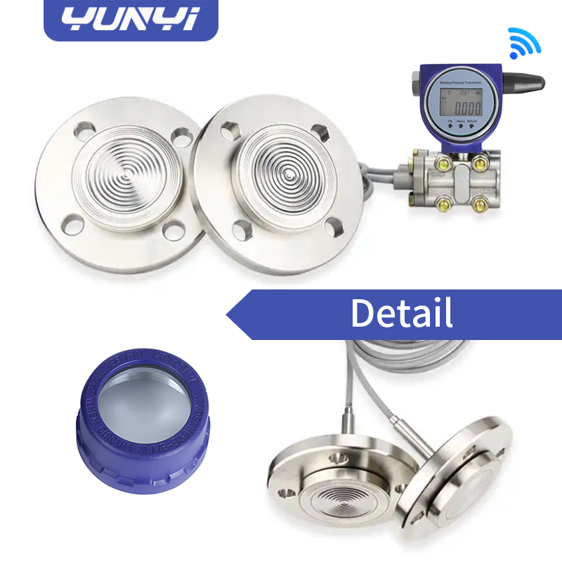 Wireless Dual Flange Level Transmitter front view