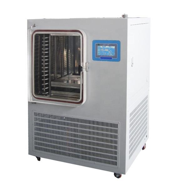 Quality Laboratory Pharmaceutical Lyophilizer Vacuum Freeze Dryer Freeze Dryer for sale