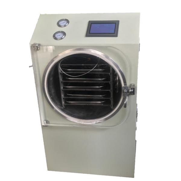 Quality Durable Home Food Freeze Dryer Small Running Current Low Energy Consumption for sale