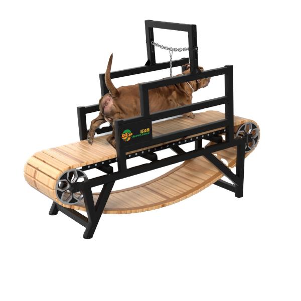 Quality Indoor Dog Exercise Machine Perfect for Pit Bull Dogs Loading Quantities 20 GP for sale