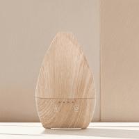 Quality 200ml Spray Mist Air Humidifier Portable Diffuser Humidifier for sale