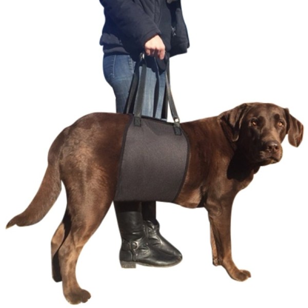 Quality Dog Canine K9 Sling Lift Adjustable Support Harness Pet Sling Lift Veterinarian Approved for sale