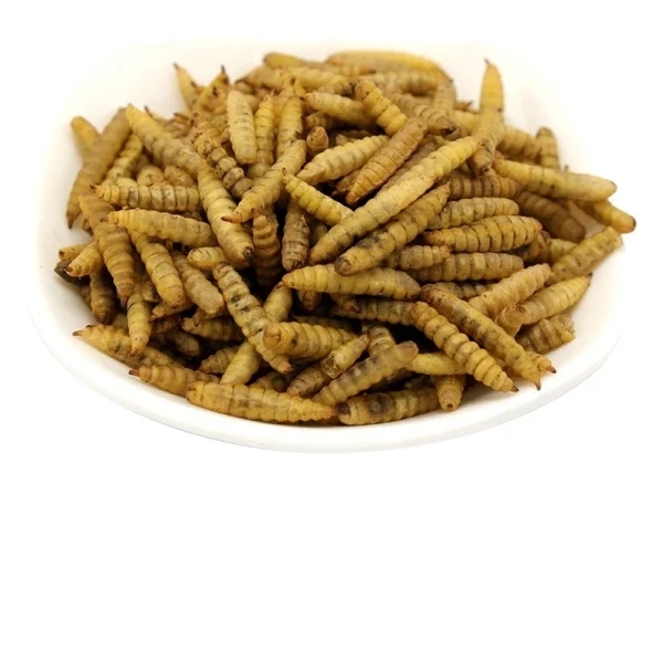 Quality Insects Dried Mealworms Storage in Dry And Cool Place Shelf Life 1 Year for sale