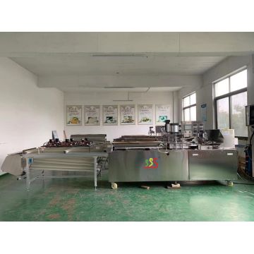 Quality Full Automatic Small Tortilla Line With Stacking And Packing Machine for sale