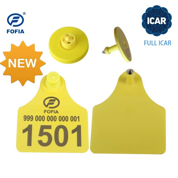 Demonstration of ear tag application
