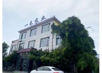 China Factory - Shandong Yihe Agricultural Technology Co., Ltd.