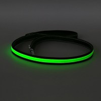 Quality USB Rechargeable Reflective Pet Leash 47 Inches Glowing Dog Accessories for sale