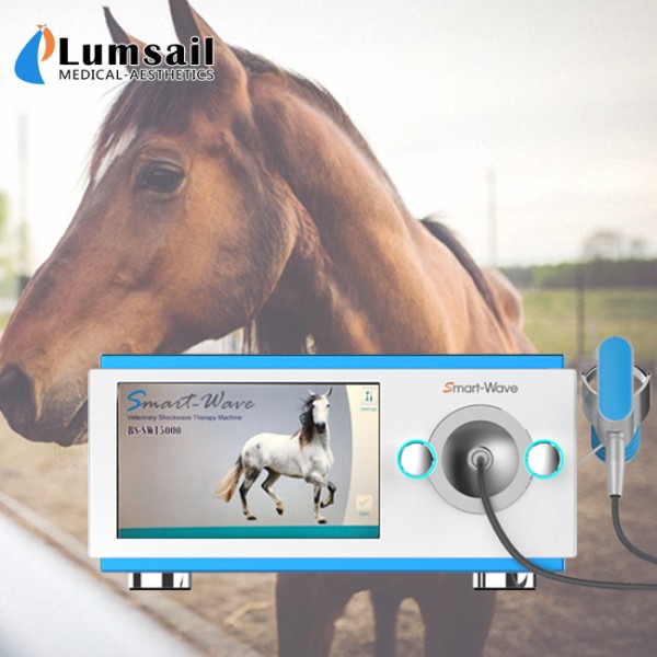 Quality Arthritis ESWT Pain Relief Equine Shockwave Machine for sale