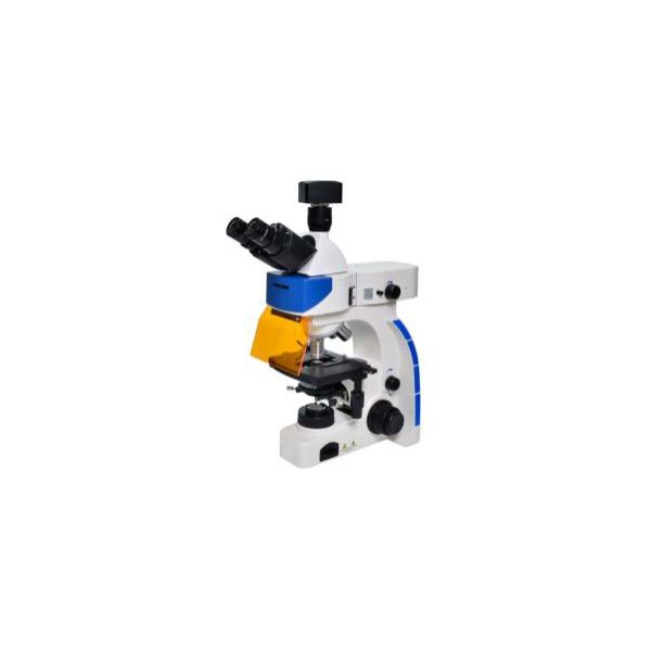 Quality Trinocular Biology Lab Microscope 40X 100X Epi Fluorescence Microscope for sale