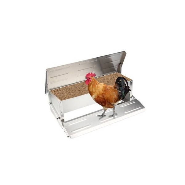 Quality Easy Assemble 51x21cm Rustproof Poultry Auto Feeder for sale