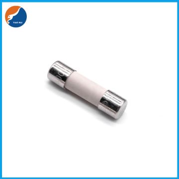 Quality 250V 5x20mm Slow Blow Fuse 25 Amp Time Delay Fuse Electronic Copper End Cap for sale