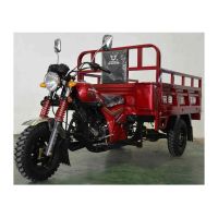 Quality 5.00-12 Tire Size Cargo Tricycle Heavy Load Three-Wheeler Motorcycle Bicycle for sale
