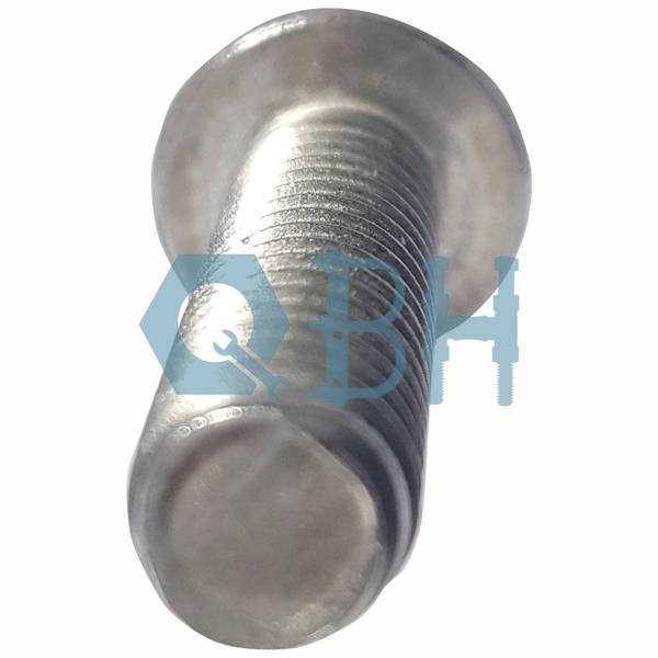 Quality GR2 Bolt Round Head Square Neck for sale