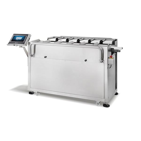 Quality SUS304 Fruit Multihead Weigher for sale