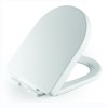china Polypropylene Materials Soft Close Toilet Seat Cover For Modern Family Bathroom