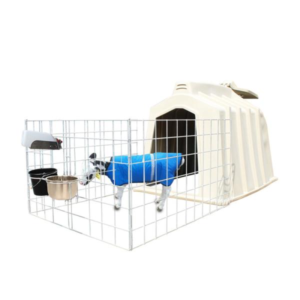 Quality Small Dairy Farm Plastic Calf Hutches With Hot Dip Galvanized Steel Wire Fence for sale