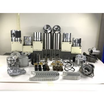 Quality Original C4.4 C6.6 For Perkins Engine Parts Rebuild Overhaul Kit for sale