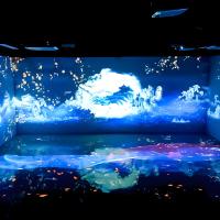 Quality Museum Interactive Wall Projection Immersive Projector 4/5/6 Channel for sale