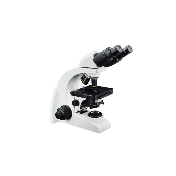 Quality 40X 10X 1000X Binocular Compound Light Microscope Student Mechanical Stage for sale