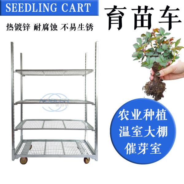 Quality Greenhouse Light Duty Rolling Dutch Metal Flower Trolleys Hot Galvanized for sale