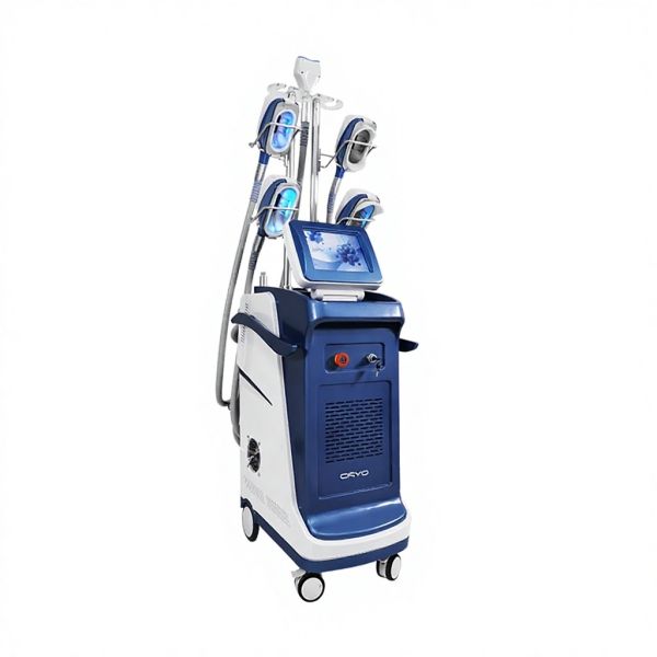 Quality 360 Angle Vertical Double Chin Cryolipolysis Slimming Machine for sale