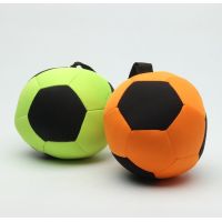Quality Football Round Floatable Dog Toys Dog Toys And Chews Attractive Design for sale