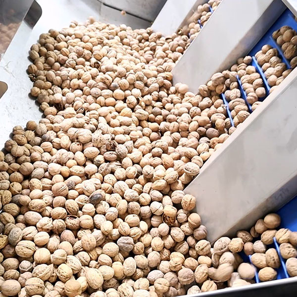 Quality 2 Tons Automatic Feeding Walnut Shelling Machine Featured Kernel Shell for sale