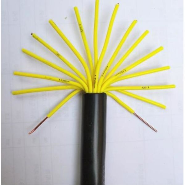 Quality Multi Conductor And Versatile Control Cable For Automation And Instrumentation for sale