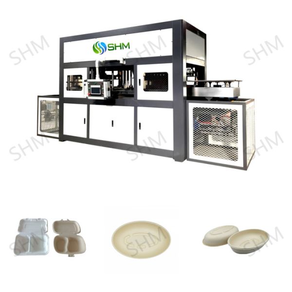 Quality Latest Paper Pulp Tableware Machine Biodegradable Lunch Box Making Machine for sale