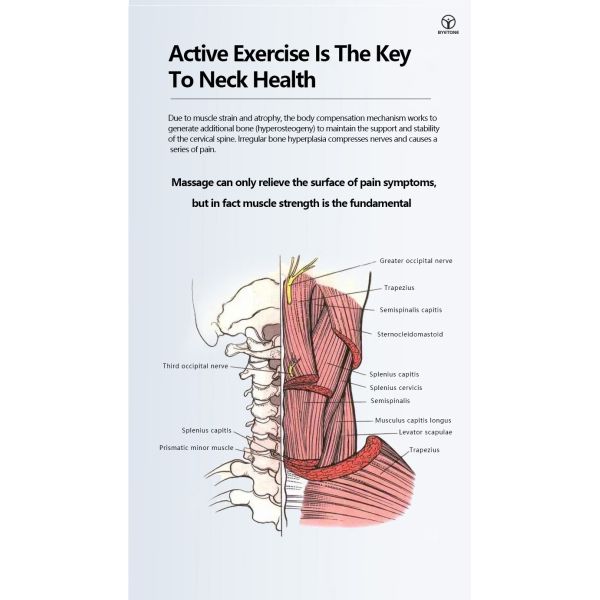 Quality Cervical Spine Stiffness Computer Screen Stand Rotating Ergonomics for sale