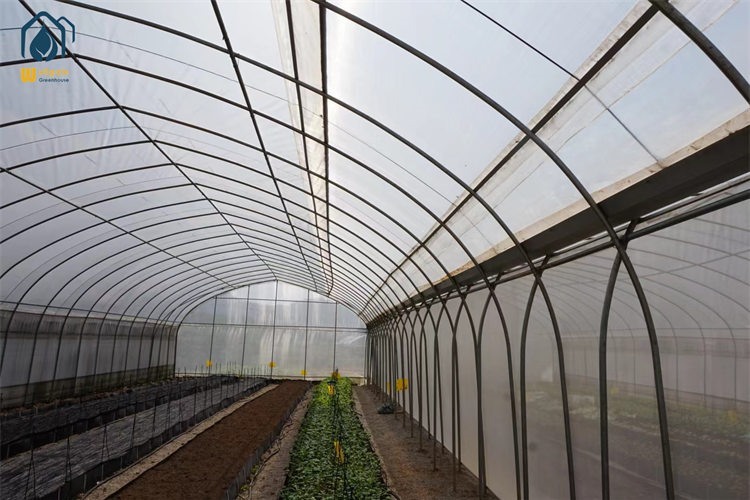 Tunnel multi span Greenhouse 1.jpg