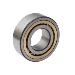 Quality Factory Price NJ NU Heavy Load High Speed Cylindrical Roller Bearing NU NJ 1009 for sale