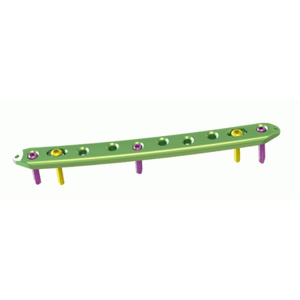 Quality CE Lateral Hook Proximal Femoral Locking Plate for sale