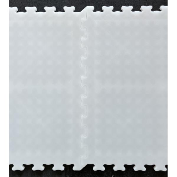 Quality Interlocking Hockey Skating Tiles Smooth Indoor Ice Skating Tiles for sale