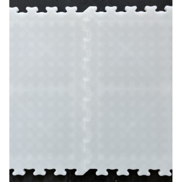 Quality Self Lubricating Ice Skating Floor Tiles Interlocking Sport Floor Tiles for sale
