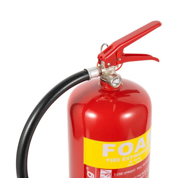 Quality 60C Pressure Cartridge Fire Extinguisher Water Mist Foam 9L for sale