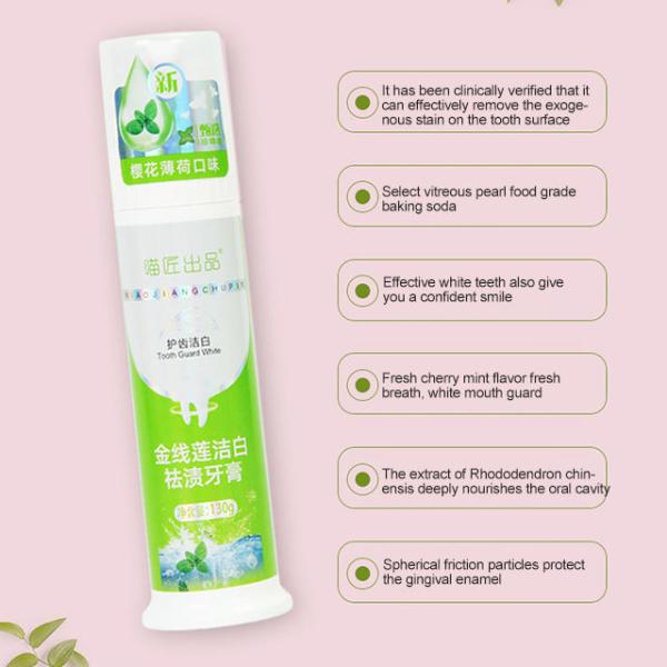 Quality Base Material PP Large Capacity Toothpaste Squeezer for Gums Care and Teeth for sale